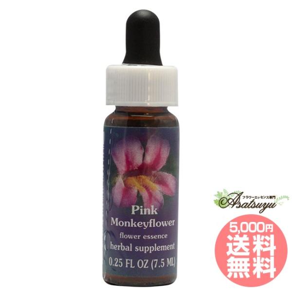 羞恥心と罪悪感ポジティブな性質：人間関係において感情面のリスクを負う勇気　　バランスが乱れた状態：羞恥心と罪悪感。感情に仮面をかぶる傾向。Pink Monkeyflower商品名：ピンクモンキーフラワー FESフラワーエッセンス クイントエ...