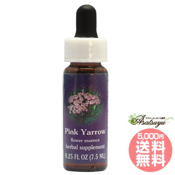 ほかの人を愛をこめて見ることができるポジティブな性質：意識の内に自己抑制された安定した器があり、ほかの人を愛をこめて見ることができる。　バランスが乱れた状態：バランスのかけた同情心。他人と自分の感情を不健康なかたちで混同する。Pink Ya...