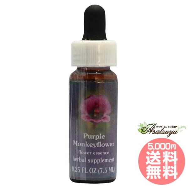 恐れよりも愛に基づいたスピリチュアリティポジティブな性質：霊的な経験をしている時でも、内面の静けさと明晰さを保つことができる。　バランスが乱れた状態：心霊現象などの超自然現象に対する恐怖。Purple Monkeyflower商品名：パープ...