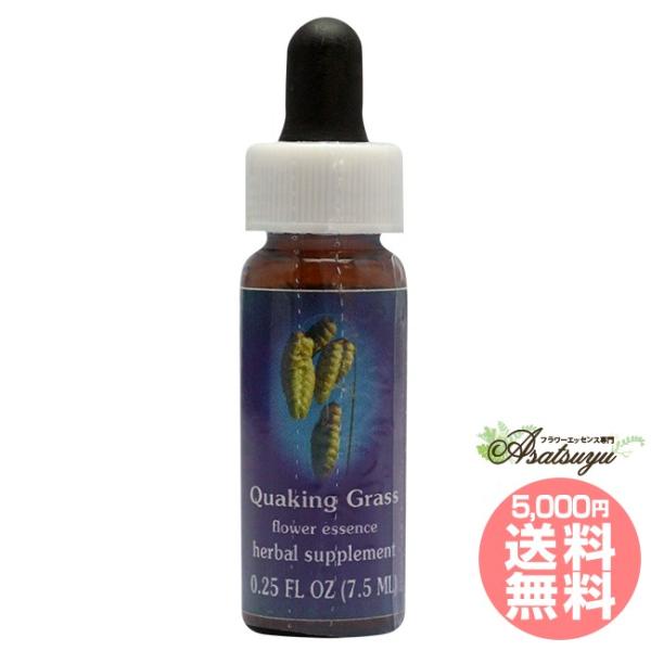 調和のとれた社会意識ポジティブな性質：調和のとれた社会意識。　バランスが乱れた状態：団体活動において機能できない。Quaking Grass商品名：クエーキンググラス FESフラワーエッセンス クエイキンググラス クイントエッセンス