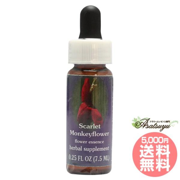 深い感情を率直に明晰に統合できるポジティブな性質：正直な感情を表現できる。　バランスが乱れた状態：怒りと無力感の問題を解決できない。Scarlet Monkeyflower商品名：スカーレットモンキーフラワー FESフラワーエッセンス クイ...