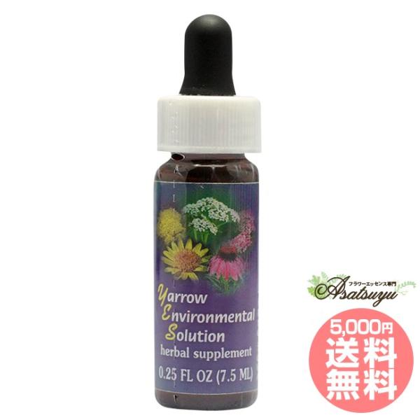 ストレスに敏感 電磁波ストレスにもポジティブな性質：エーテル体が高度に統合され、力強い再生能力がある。　　バランスが乱れた状態：放射線、環境汚染、その他の磁気ストレスのよって生命力と活力が妨げられている。または過去に受けた影響が残っている状...