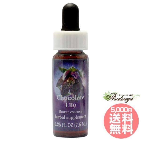 肉体の生殖及び排泄代謝サポート体の基本的な代謝機能、とくに肉体の生殖および排泄機能を受け入れることができるように。肉体の排泄機能を嫌悪してしまう。月経や授乳に対する嫌悪感。排泄にともなう困難、腸の機能低下や閉塞が見られるときChocolat...