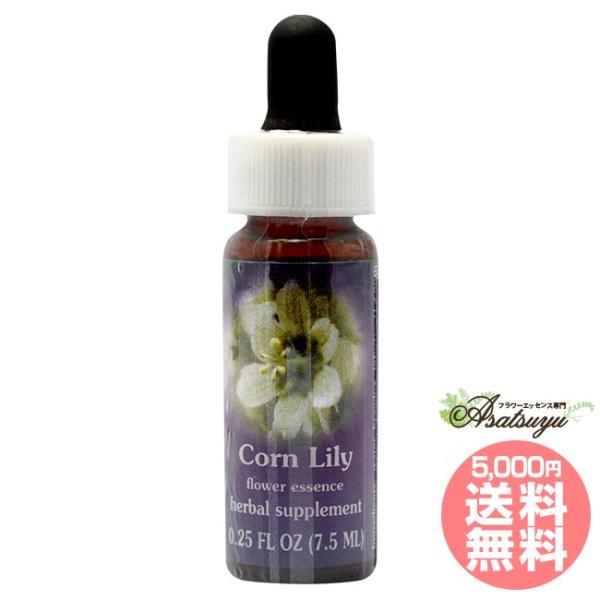 ホルモン変化を受け入れられない成熟による知恵と気高さを受け入れ、またそれを祝うことができるように。肉体と魂において起こる老いや、ホルモンの変化を受け入れられないとき。Corn Lily商品名：コーンリリー FESフラワーエッセンス レンジオ...