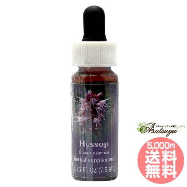 他人を許し自分も許すことができるように他者から受けた赦しを受け入れ、また他者を赦すことができるように。自己の肉体を見下げる過去の虐待や羞恥の強い記憶があるとき。Hyssop商品名：ヒソップ FESフラワーエッセンス レンジオブライト