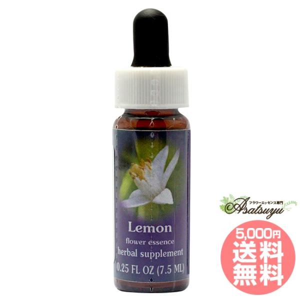 想像力と芸術性のバランスを想像力と芸術性のバランスがとれた、明晰な知力をもちたいとき。精神的疲労や、心的疲労に関する神経系の毒性があるとき。Lemon商品名：レモン FESフラワーエッセンス レンジオブライト