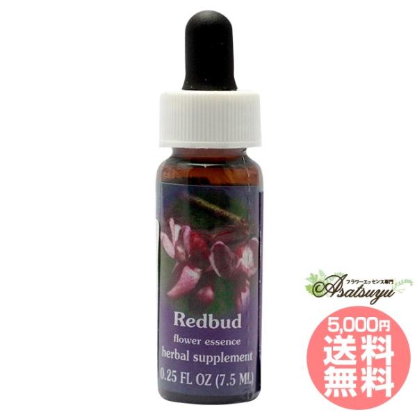 物質的なものに執着しすぎている自然なサイクルである成熟と加齢を受け入れられるように。物質的なものに執着しすぎているとき。Redbud商品名：レッドバッド FESフラワーエッセンス レンジオブライト