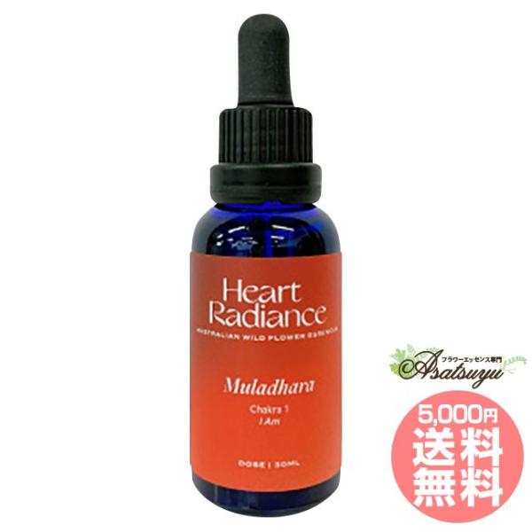 ■課題：パラノイア、生存への恐れ、分離、グラウンディングのなさ、不安、恐怖、生命力の欠如、下半身のエネルギー的な癒し。■癒しの結果：グラウンディング、地球とのつながり、自分自身の身体に対する自信、身体からのサインと同調する、家族との機能的つ...