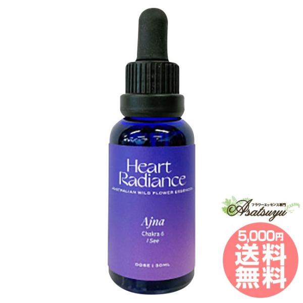 ■課題：方向感覚のなさ、過度に批判的、思考の混乱、圧倒されるような感覚、近視眼的、現実逃避、直感とつながれない。■癒しの結果：人生の目的、思いやりのある判断、明確な理解、現実を大局的に見る、新しい可能性に開かれる、直感にアクセスする。■入っ...