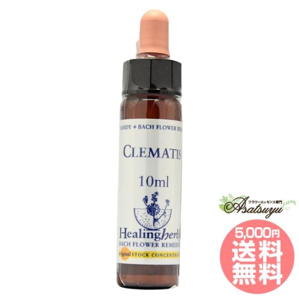 現実世界での発見現実の生活にあまり集中できず、何に関してもあまり興味が持てずにぼんやりとしてしまうことはありませんか？クレマチスの花は白く、たくさんのはなびらはフワフワとした印象です。種は鳥の羽根のように空を舞い、新天地を求め降りた場所で他...