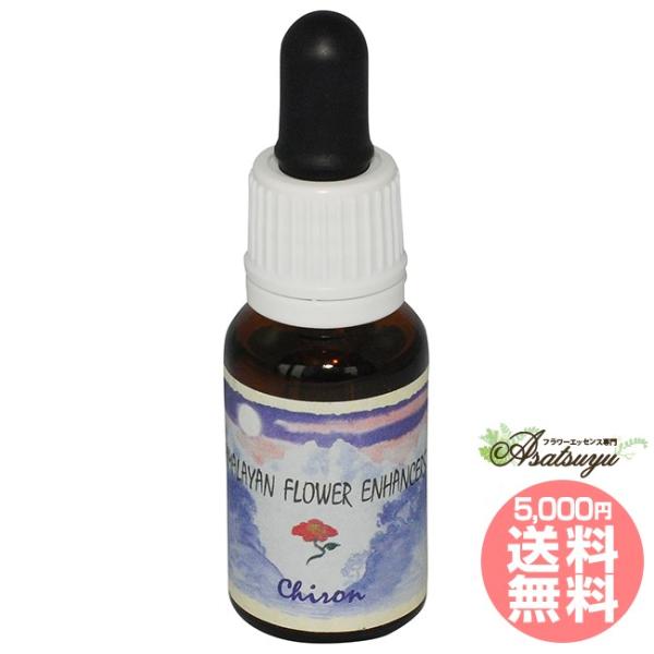 過去からの傷を見抜く力。チャネリングによいエッセンスです自らの過去の傷を見極める力を与えてくれます。純粋な体験ができるように感覚を開かせてくれます。ヒーラーの方には、シャーマンのようにエネルギーを呼び起こしてくれる力を与えてくれます。クライ...