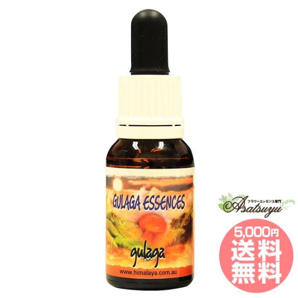 人生の脱皮に大変パワーフルなエッセンスですトランスフォーメーション時に、パワフルなエッセンスです。人生の脱皮は、それぞれ自分自身の人生の目的に合致した生き方ができる助けをしてくれます。過去からの行動パターンが今は先へ進むのを妨げているだけと...