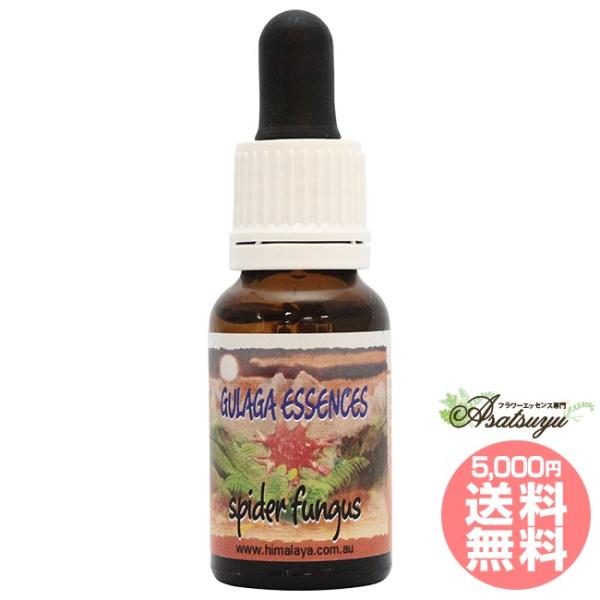 セクシャリティに関連した第一チャクラの機能不全を見つける特にセクシャリティーに関連した第一チャクラの主要な傷や機能不全を明らかにします。ヒマラヤンフラワーエンハンサーズは、ピュアな花から作られたエッセンスです。自分にとって本当に大切なものに...