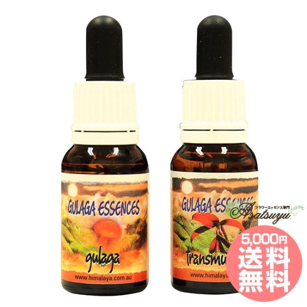 ヒマラヤンの人気ＴＯＰ２を限定セット！【トランスミューテーション】『自分の殻から飛び出す』ためのものです。まるで毛虫が蛹になって眠りにつき、美しい蝶として夢から覚めるように…。古いパターンを手放し、『新しい何か』を出現させる助けに。きっと意...