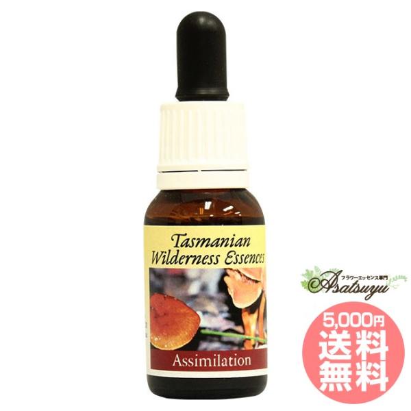 深い平和と調和を運んでくれます。第２・第３チャクラに残っている古い緊張を取り除くことで、家系に関する癒やしを肉体的、感情的にもたらします。深い平和と調和、そして安らぎを運んでくる素晴らしいヒーラーです。■アシミレーションからの声私は人生を消...