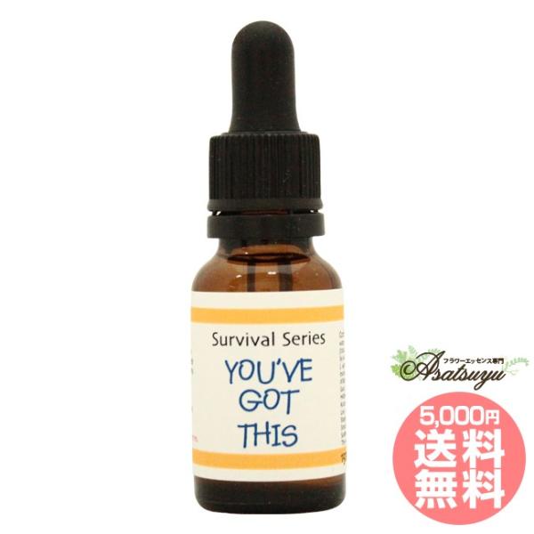 感度が強くなったり、取り巻く状況や人々によって圧倒されていると感じた時に使用して下さい。このエッセンスは、「自分にはできる」「この移行の時期を安全に通り抜けることができる」ということに気付くことを助けてくれます。■商品名：ユーブゴットディス...