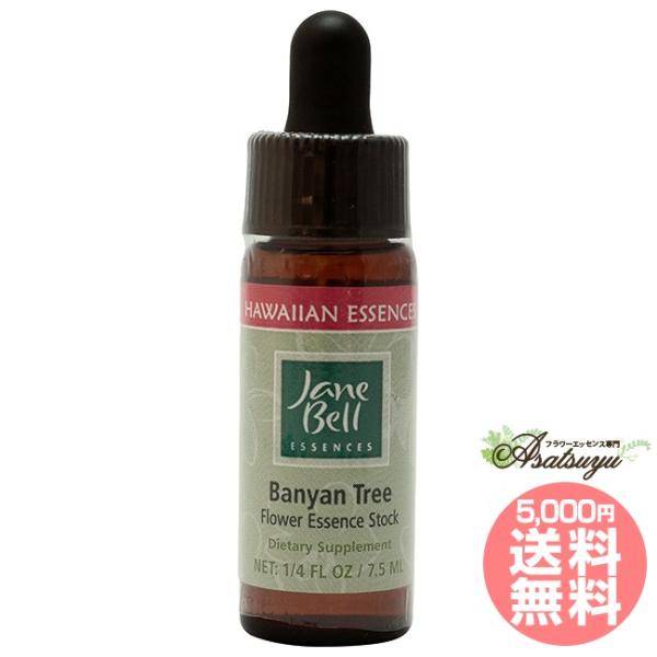 変化のグラウンディングに拡大、移行、変化の時のグラウデンィングに。また人生が何げに宙ぶらりんと感じたり、疲れてしまったとき、興奮したり緊張したとき、圧倒されてしまったように感じる時に、気持ちを落ち着かせてくれます。Banyan Tree