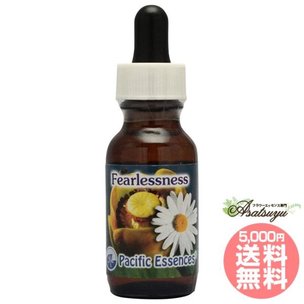 執着を手放すことができるように『恐れの解放』何があってもあるがままを受け入れられるように、勇気と力強さを持てるように一瞬一瞬の瞬間をハートセンターから受け入れられるようになり、執着を手放し、愛でないものは恐れだと認識できるようにFearle...