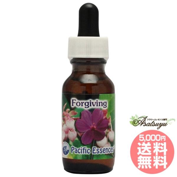 非難や羞恥心を手放し辛さを断ち切れるように自分自身や他人に向けてしまいがちな非難や羞恥心を手放すことによって、すべての「古くてつらい」ことを断ち切る自由をもたらす。自分で自分にパワーを与え、自分で自分の方向性を決めるという感覚を呼び戻してく...