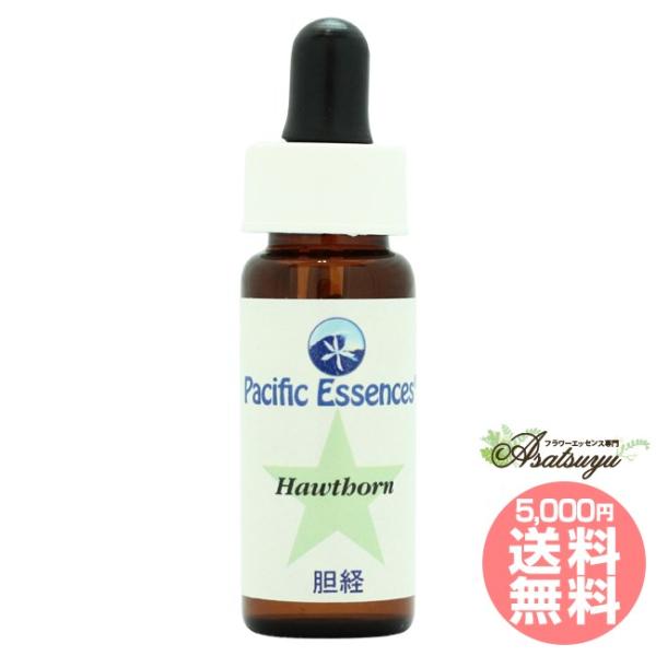 己を知り、人生の目的をしり、そこからぶれない。己を知り、目的――各々の人生の目的――を知り、そこからぶれない能力。自分の魂の目的にそぐわないものは避けて、エネルギーの無駄遣いがないよう境界線を設ける能力。商品名：ホーソンHawthorn パ...