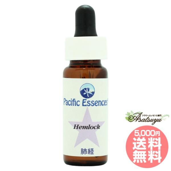 防御。前に踏み出す意志を強める。防御と、できるだけ早く前に踏み出す意志。パワーかフォースか。無為。直感にアクセスし、それを使う能力。