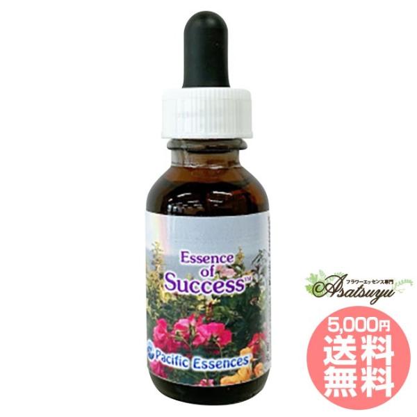 ■引き寄せるエネルギー献身、調和、充実感、『今この瞬間』というギフト、愛、喜び、祝福、恩恵、好奇心、思いやり、感謝、気付き、インスピレーション■課題集団意識、ブレインウォッシング（洗脳）、外圧に屈する、プロパガンダ（意図した方向へ人を向かわ...