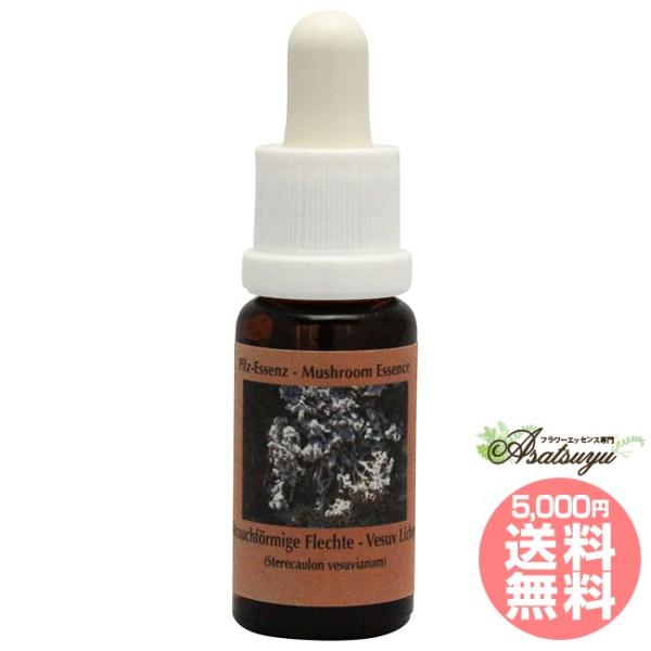 『新たな出発の力を』精神的打撃を与えられた出来事の後、新たに出発する力をくれる。その際に、少しずつでも先に進もうとする意志をもてるように助けてくれる。サバイバルの為のエッセンスで、パイオニア精神に溢れ、私はあきらめないというパワーをくれる。...