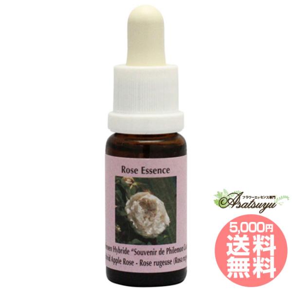 体と心の一体化、すべてを包む精神的な愛へ真実の愛は、体と心と魂が一体となって初めてあり得る。このエッセンスは、これらの一体化を助け、すべてを包み込む精神的な愛を可能にしてくれる。■チャクラ第三の目（第6）・クラウン（第7）Souvenir ...