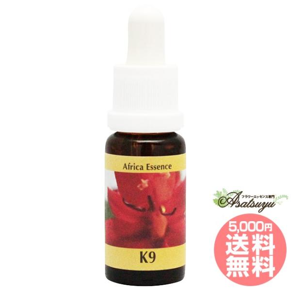 希望、目標を達成できるようサポートあまりにも困難すぎてあきらめたくなってしまうような状況の助けに。希望を失わず、意思の力を集結させて目標を達成できるようにサポート。内なるヒーラーを目覚めさせ、喜びを持って自らを癒していく能力を高めてくれます...