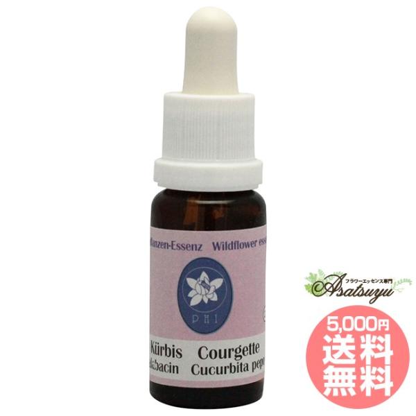 物事を発展させ成長できるように第2チャクラを強め、物事を発展させ、成長させられるように助けてくれる。女性性の部分を統合する助けに。妊娠中の女性にハーモニーをもたらす。■チャクラセイクラル(第2）・太陽神経叢(第3)Courgette