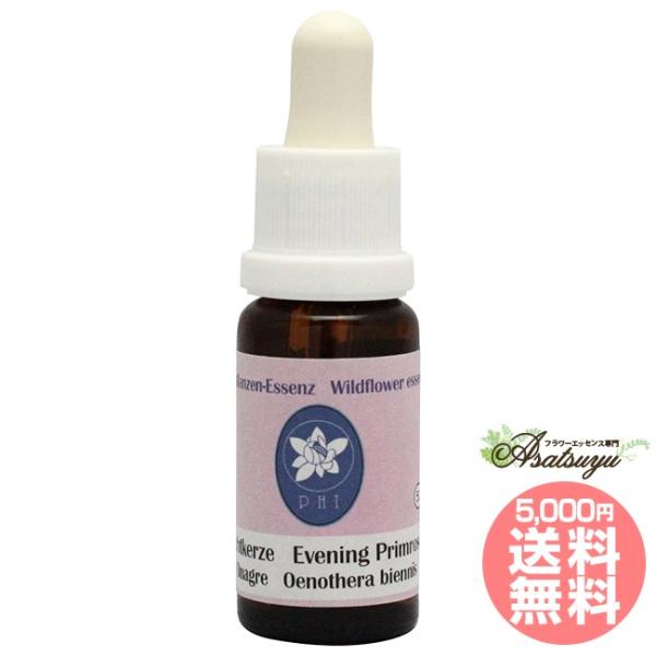 『恐怖に満ちた心に光を』恐怖に満ちた心の暗闇に光をもたらす。なだめ落ち着かせ、自分は守られて安全だという感覚を与えてくれる助け。■チャクラベース(第1）・セイクラル(第2)■商品名：イブニングプリムローズ コルテPHIエッセンス ワイルドフ...