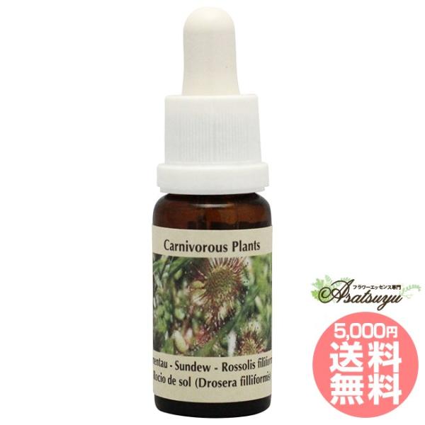 『全体的なエネルギーの波動をあげる手助け』意識上に過去の体験を持ってくることにより、古いネガティブなカルマのパターンから自由になる助けをしてくれます。そうすることで私達はそれらを愛と理解をもって解放することができます。このエッセンスは全体的...