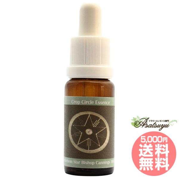 『とても深い瞑想のエネルギー』とても深い瞑想のエネルギー。グループエネルギーを1点に集中させる。内側のバランスをもたらし、両極を繋ぐ。衝突する状況にいる際に役立つエッセンス。■商品名：#14 Bethlehem Star, Bishops ...