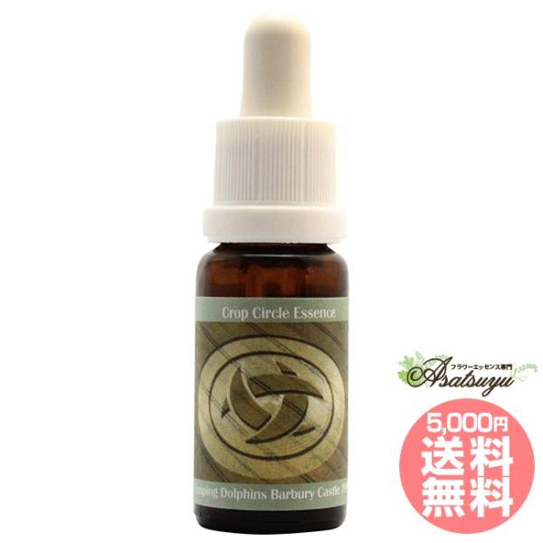 『心配事の波動から開放』宇宙的な楽しさへと心配事の波動から解放する。第6チャクラと第7チャクラを並列にし、平和と愛を育てる為にイルカのエネルギーにつなげる。■商品名：#27 3 Leaping Dolphins, Barbury Castl...