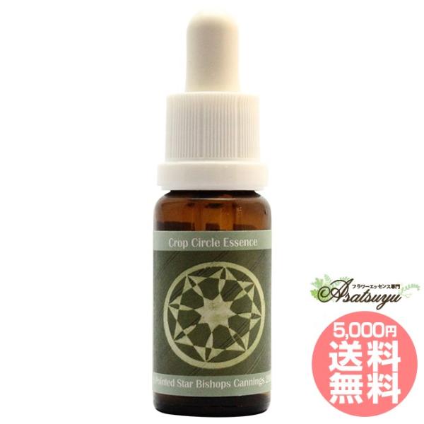 『母なる地球とつなげてくれる』8 Pointed Star　Bishops Cannings 15 July 2000このエネルギーは木星と一致する。拡張と開くエネルギー。ハートチャクラとマインドを4つの方向性へ開くと共に、母なる地球とつな...