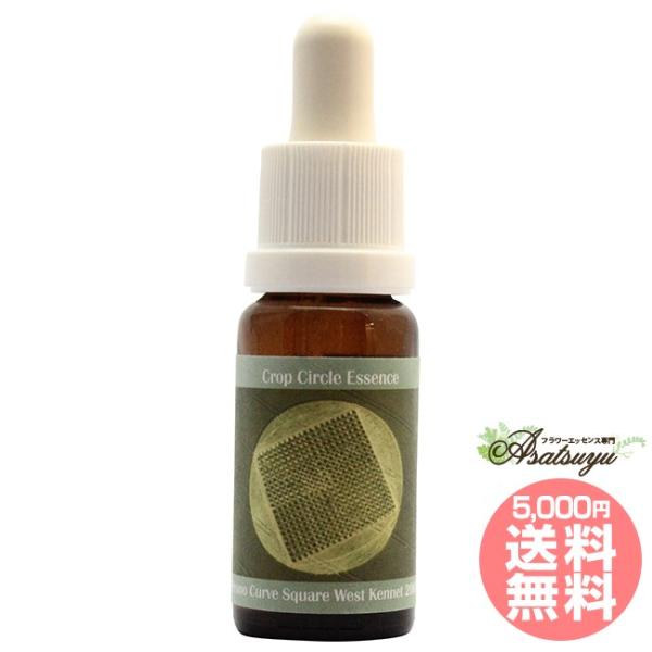 『私たちのハートを通じてすべての癒しがやってくる』この大きな四角形は800のサークルから形成されている。このエネルギーは私達をプレアディアンとつなげる。私達のエネルギーを高める助けをし、私達のハートを通してすべての癒しがやってくる。■商品名...