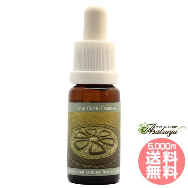 『エネルギーレベルにおいてそれらの障害物を解消することの助け』身体的な凝りや緊張を生じさせるエネルギーの閉塞に気付かせ、エネルギーレベルにおいてそれらの障害物を解消することを助ける。■商品名：#61 Celtic Knot, Avebury...