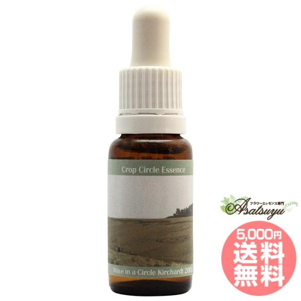 『調和と統合を促進』サークルの中にあるひとつの波。落ち着きを保ち、前向きな思考を発達させることを助ける穏やかなエネルギー。調和と統合を促進するエッセンス。■商品名：#65 Wave in a Circle, Kirchardt, D 200...