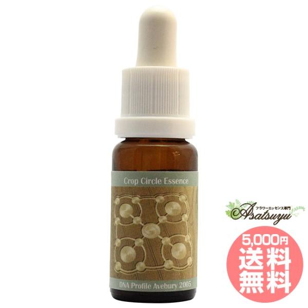 『深遠なスピリチュアル世界を理解する助けに』DNAの断面をあわらしている。DNAに含まれる悪しき情報を削除するヒントになるかもしれません。深遠なスピリチュアル世界を理解する助けに。■商品名：#79 DNA-Profile, Avebury,...