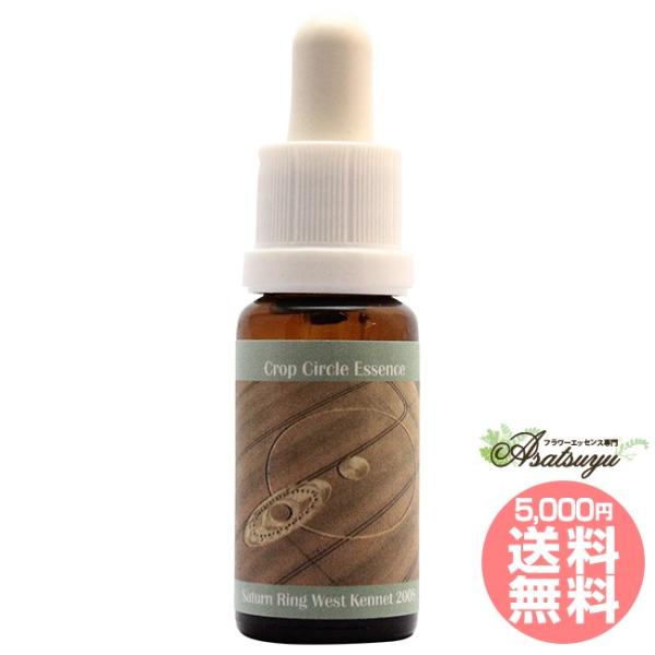 『秩序を築き、物事を顕現させる』土星のエネルギーとつながる為に。秩序を築き、物事を顕現させる。このエネルギーは混乱を鎮め、秩序を取り戻す為に。すべてを元あった場所に戻すエネルギーを持っている。■商品名：#107 Saturn Ring, W...