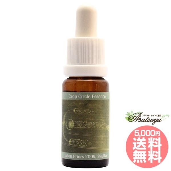 『すこしずつ自分を縛っている制限から開放されていきます』家系の記憶として継承されているブロックを解決するよう働きます。集合意識に根ざすパターンを解放するサポートにも最適です。自分が持っているブロックを認識させ、なぜこのブロックが構築されたの...