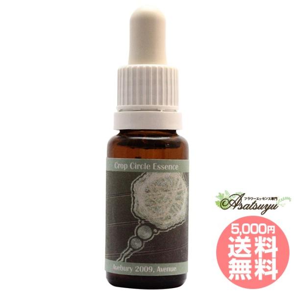 『神の神聖なる創造物』この図形は受精を表わしています。2人のDNAが融合することによって、新たな波動を持つDNAが創造されるという聖なる瞬間を象徴しています。神の神聖なる創造物。中絶を経験した方、体外受精等で赤ちゃんの性別を操作した方を癒し...