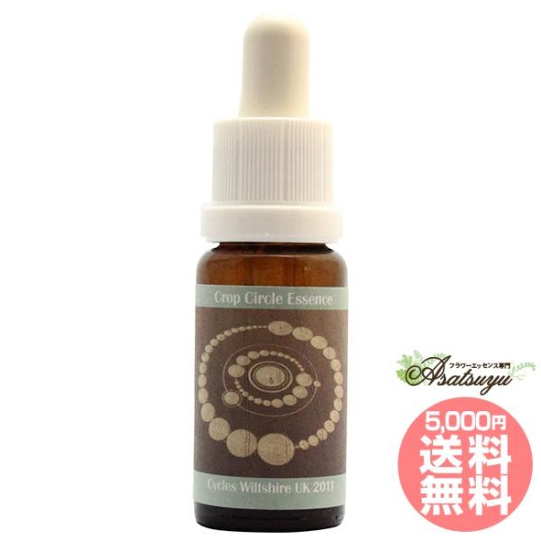 『命の循環について思い出させてくれます』一つの生命は別の生命から生まれ、進化を重ねて行きます。このエッセンスは、私たちに命の循環について、また未来や過去について思い出させてくれます。私たちは神なしでは存在し得ません。宇宙の塵に過ぎないのです...