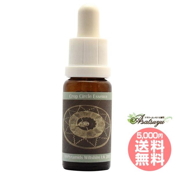 『私たちの眼を開き、真実を見る助けをします』全ての生命が神の創造物であることを、深いレベルで思い出させてくれます。私たちの眼を開き、真実を見る助けをします。■商品名：#139 East Kennet 2 Avebury, Wiltshire...