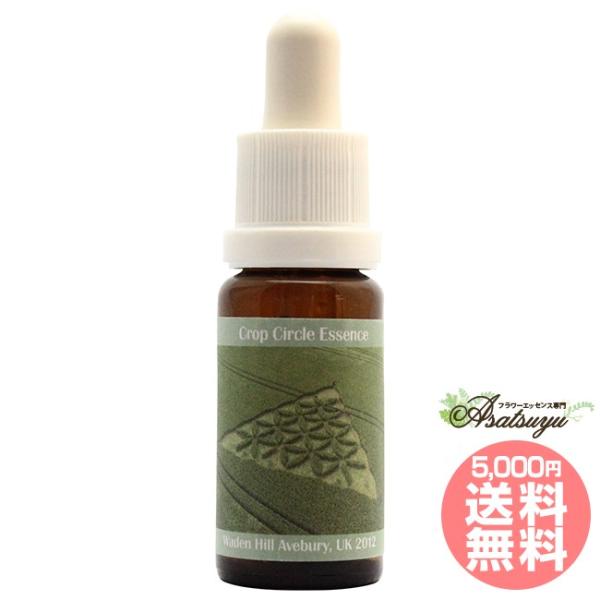 『神の美を守ることを私たちに思い起こさせてくれます』このクロップサークルは三角を形成し、『命の花‐神聖幾何学』を基調とします。このエッセンスは、神の美を守ることを、私たちに思い起こさせてくれます。■商品名：#143 Waden Hill, ...