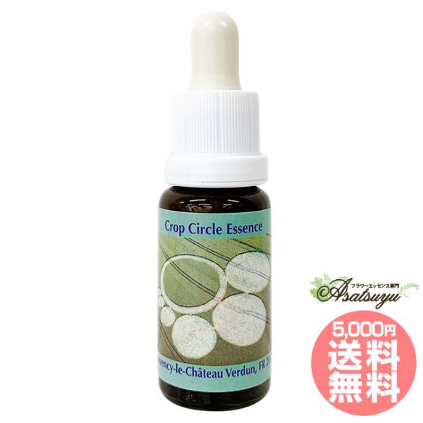 ヨーロッパにおける大虐殺の舞台となった地域に作られたクロップサークル。このエッセンスは、私たちを潜在意識とつなげてくれます。本当の自分を知ることにより、自信と内側の強さがもたらされます。人間の歴史上、私たちがどれほど集団に操られてきたのかを...