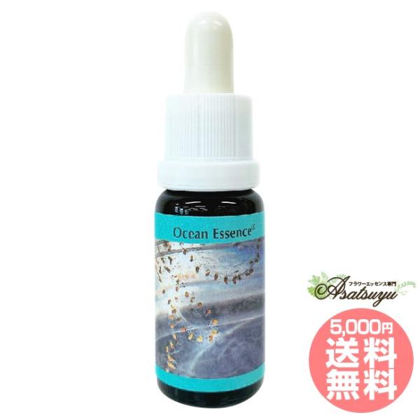 『古い制限から自由にしてくれる』黄色いイカのような生物。全長約30センチまで成長する。鎖を思いおこさせる形状。小さな脚を器用に動かし、水中を素早く移動する。このエッセンスは、根深いブロックにエネルギー的に働きかけ、自尊心に影響を与える古い制...