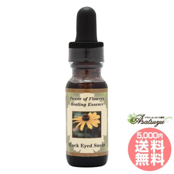 自己認識への可能性ブラックアイドスーザンは繰り返されるパターン、習慣、そしてネガティブな行動の中に光を浸透させ、問題の核心やその原因をあなたに理解させてくれます。暗い中心を囲む太陽のような黄色い花々は、自己認識への可能性を映し出しています。...