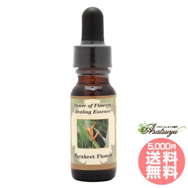 魂のつらい痕跡を癒すパラキートは、言葉による虐待や、社会のネガティブな影響に敏感な人の、魂のつらい痕跡を癒します。このエッセンスは、世界中で起きている出来事や、メディアから発せられる情報の影響を強く受けてしまう人の助けとなります。不必要な思...