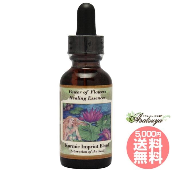 魂の解放『魂の解放』このブレンドエッセンスは、2011〜1014年の大きな変容のときに必要な、精神性を高めて深いカルマ的な癒しのプロセスを直接助けるようなブレンドエッセンスです。カルマは、なぜか分からずにそうしてしまう行動で、身体の組織に蓄...